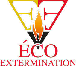 Bedbug exterminator in Montreal | Éco-Extermination