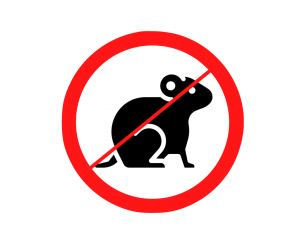 Exterminateur rat et souris Montréal ǀ Services Éco-Extermination