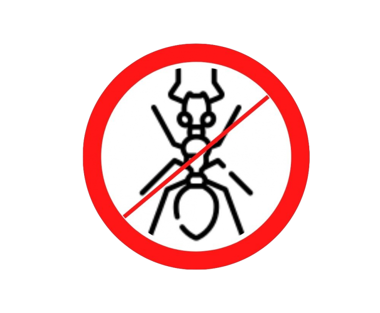 Exterminateur fourmi ǀ Fourmis charpentières ǀ Éco-Extermination